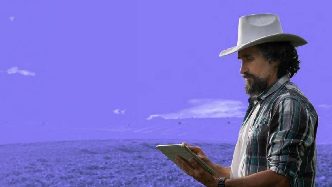 How Mondra is targeting food net zero using Microsoft Azure cloud ...