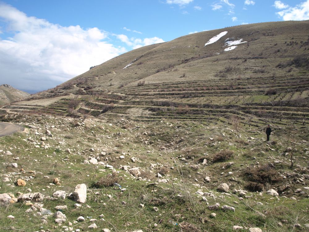 Photos: Centuries of History Revealed Beneath Roman Ruins | Live Science