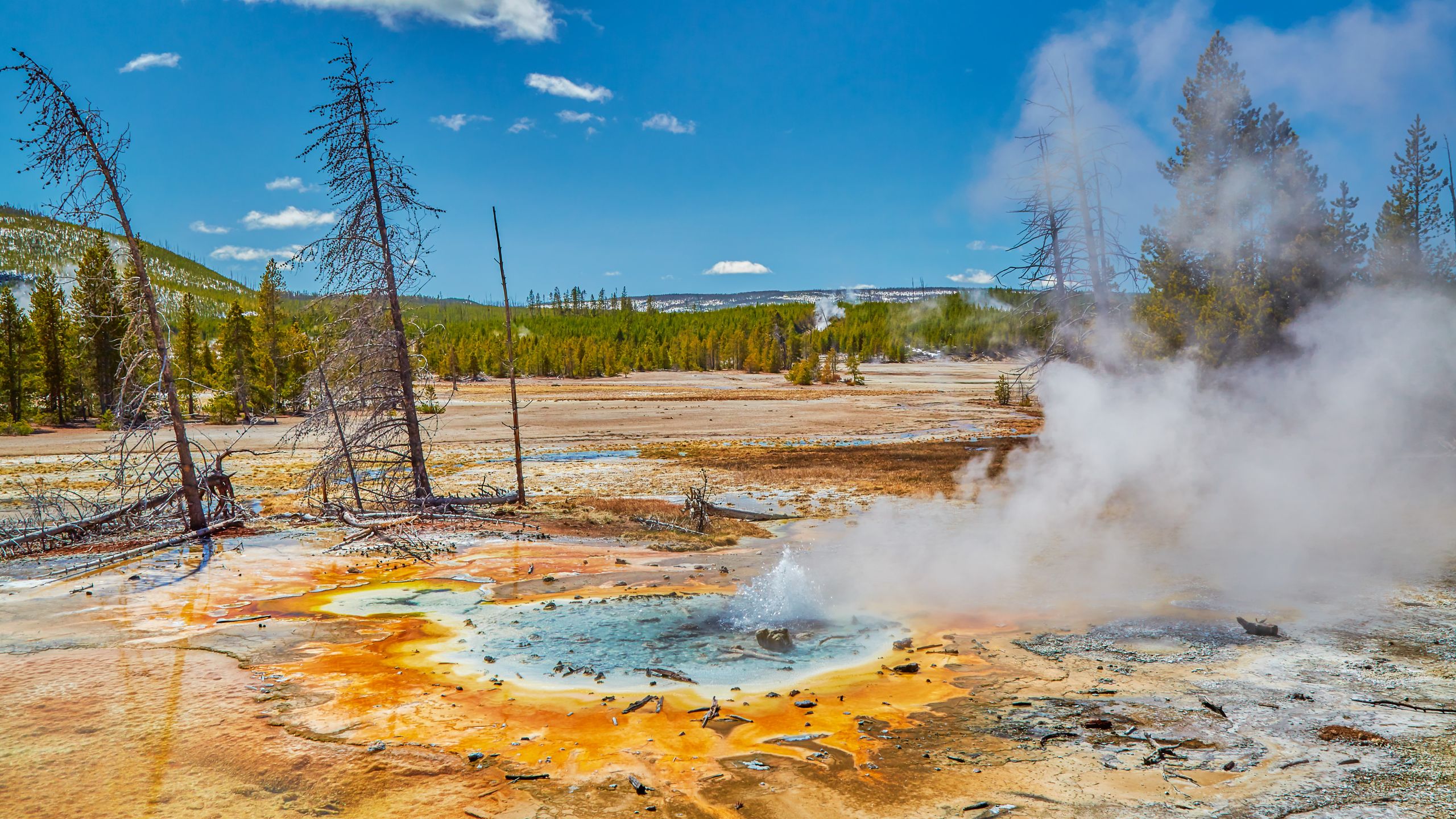 Tourists caught dangling makeshift thermometer over Yellowstone geyser ...