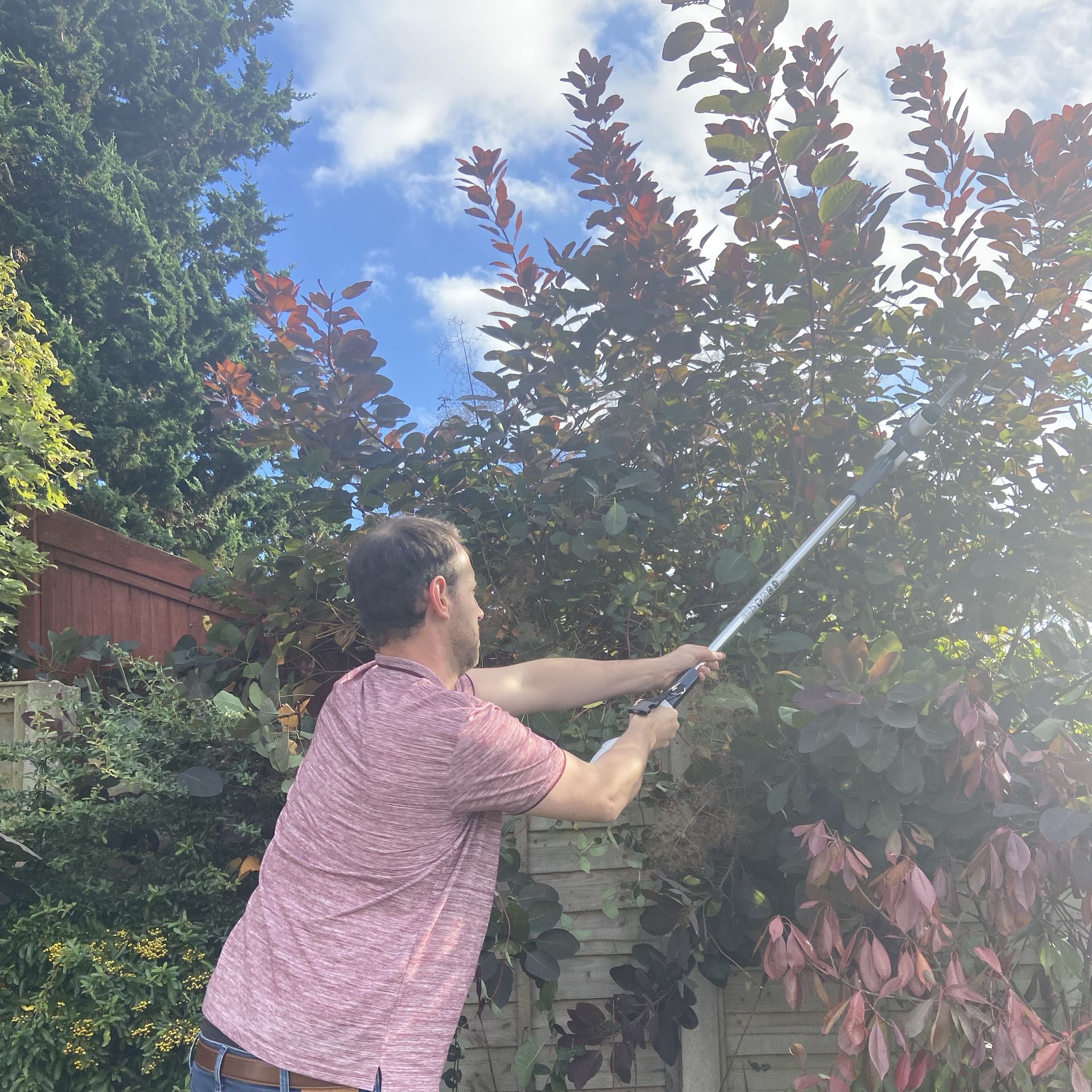 Gtech HT50 cordless hedge trimmer review | Gardeningetc