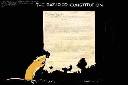 5 fundamentally funny political cartoons about the US Constitution ...