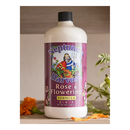 David Beckham Uses This Pretty Rose Shrub to Line His Fence | Livingetc