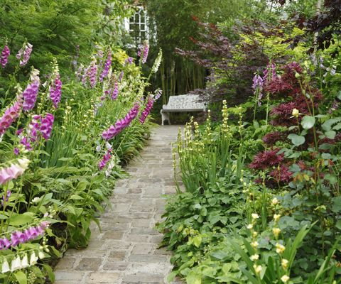 11 garden path ideas for every style and budget | Homebuilding