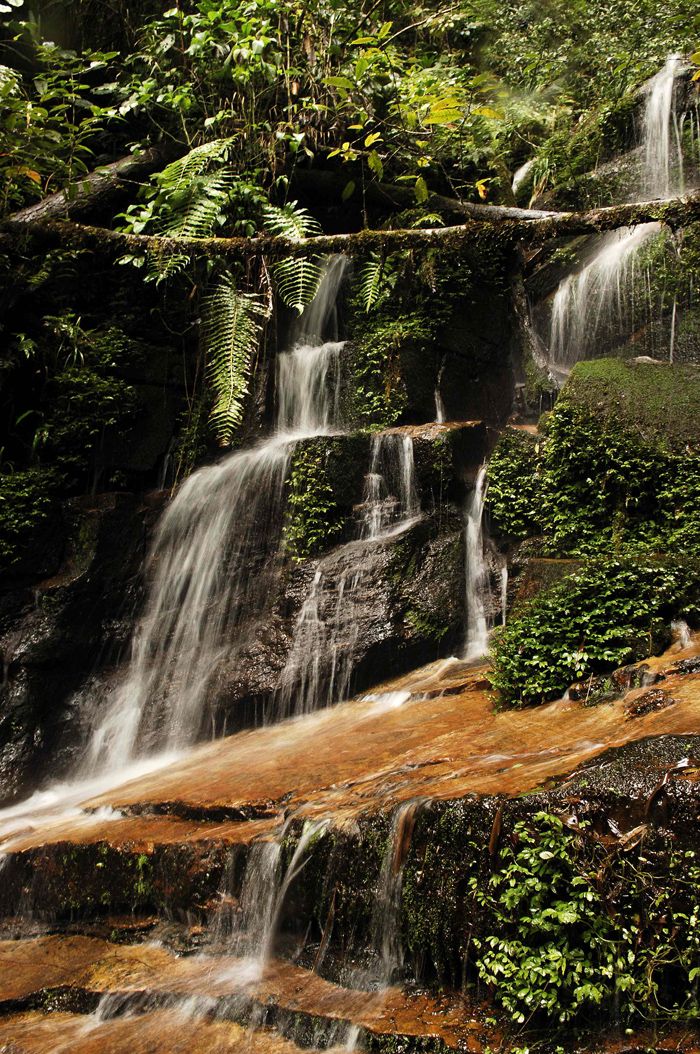 Developing World Boasts Leading Women Conservationists | Live Science