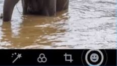 How to use Twitter Stickers | TechRadar