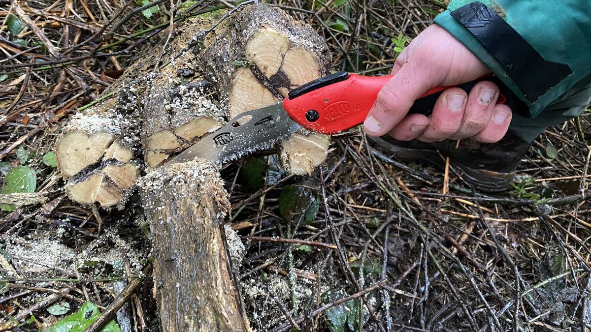 Felco 601 folding saw review | Advnture
