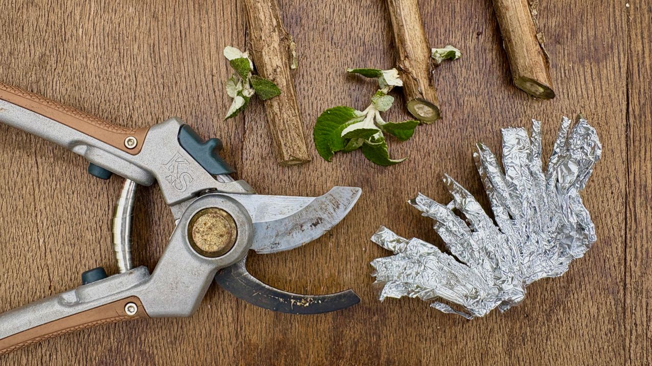 The Tin Foil Trick to Sharpen Pruners – Does it Really Work ...