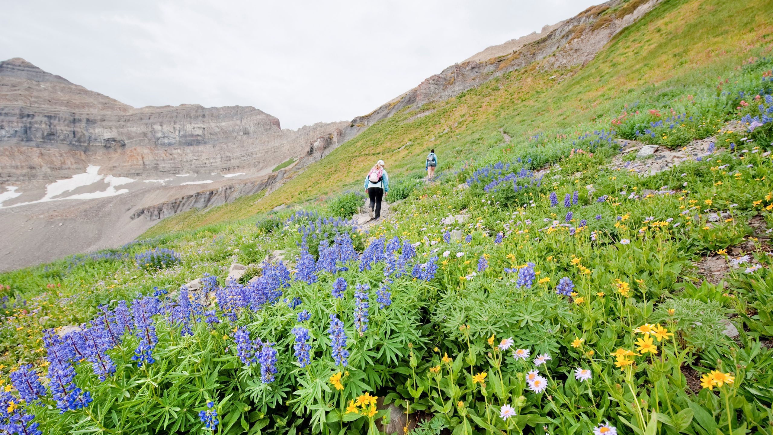 How to plan an active spring vacation: from the shores to the slopes ...