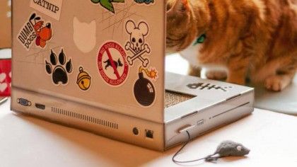 You can buy a laptop for your cat - sort of | TechRadar
