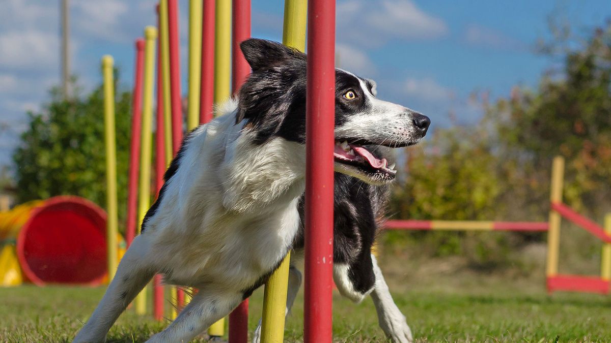 These are the five most useful things I’ve learned as the owner of a ...