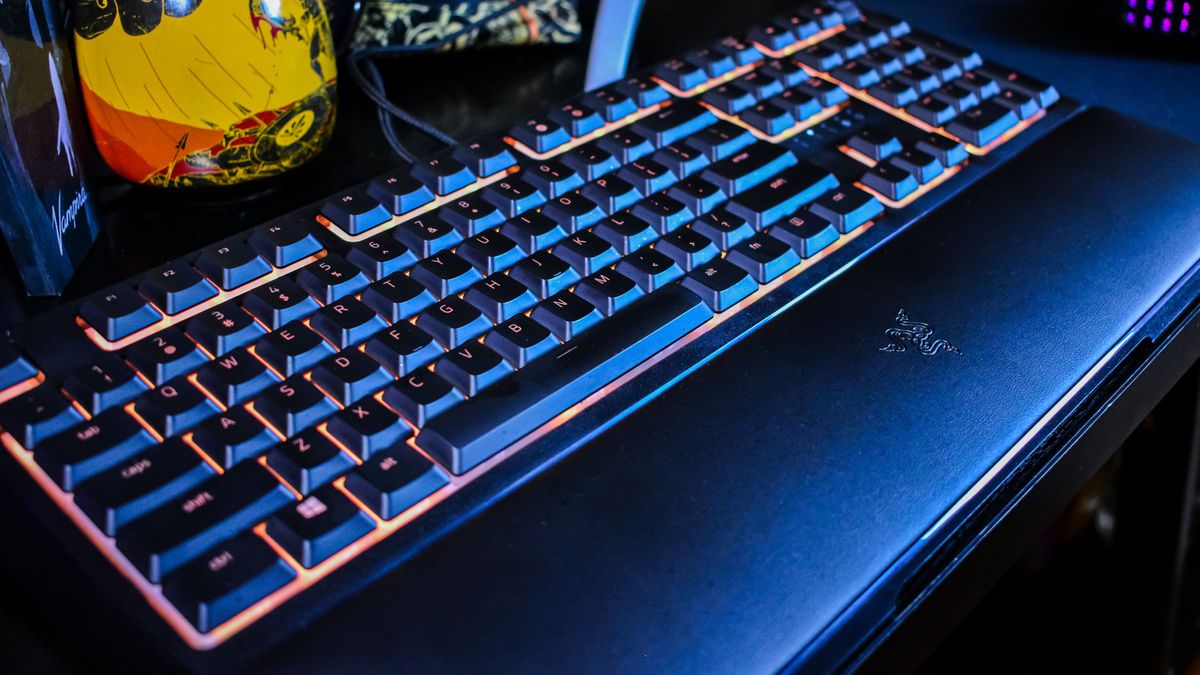 Razer Ornata V2 review | TechRadar