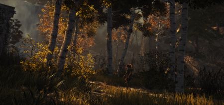 Rise of the Tomb Raider 5K gallery: Portraits and landscapes | PC Gamer