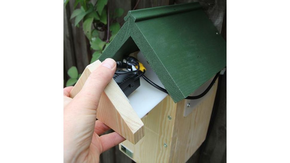 How to set up a birdcam and enjoy your garden more | PetsRadar