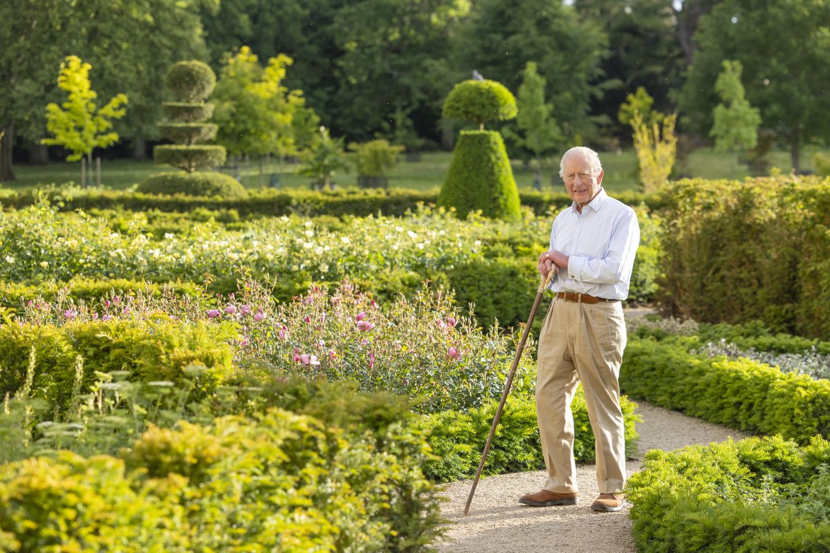 Exclusive: The King's remarkable resurrection of the gardens and ...