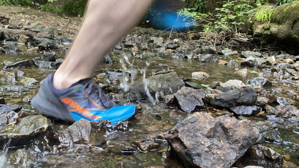 Dynafit Alpine Running shoe review: a quality, lightweight all-rounder ...