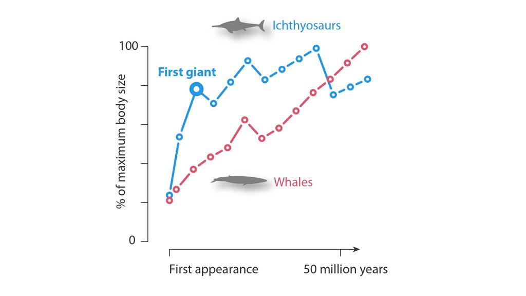 55-foot-long Triassic sea monster discovered in Nevada | Live Science