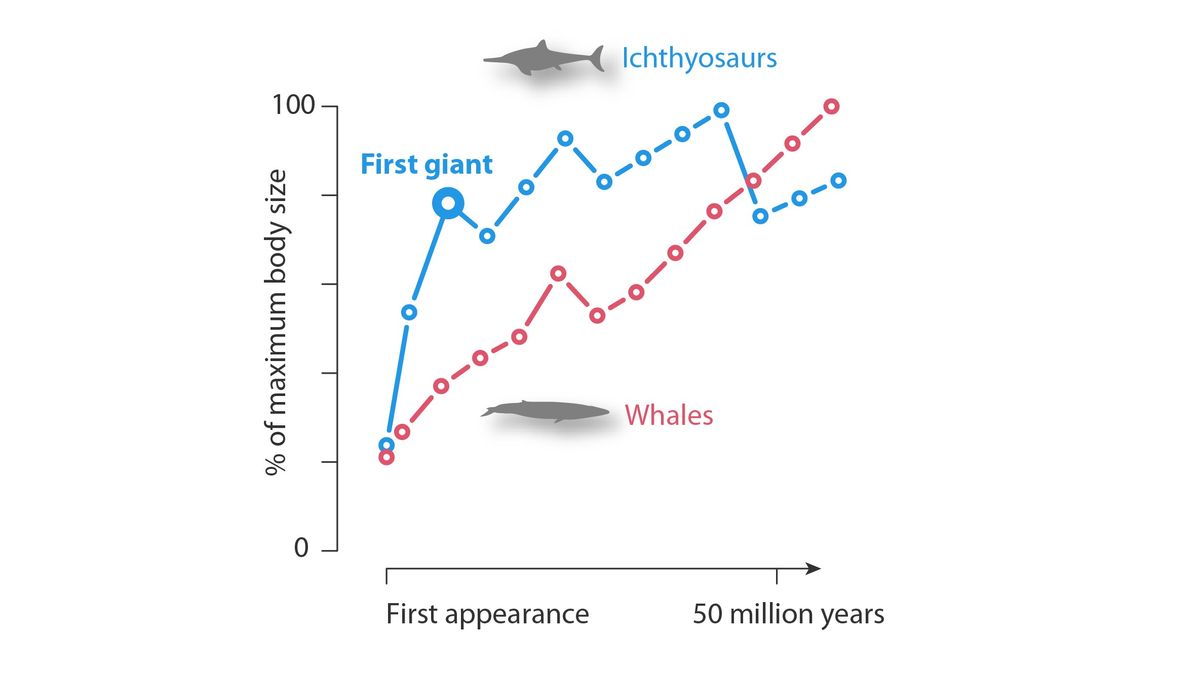 55-foot-long Triassic sea monster discovered in Nevada | Live Science