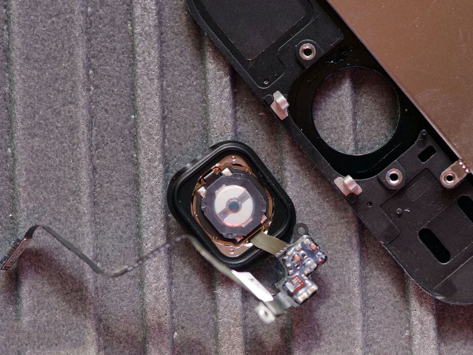 How to fix your iPhone or iPad's Home button: The ultimate guide | iMore