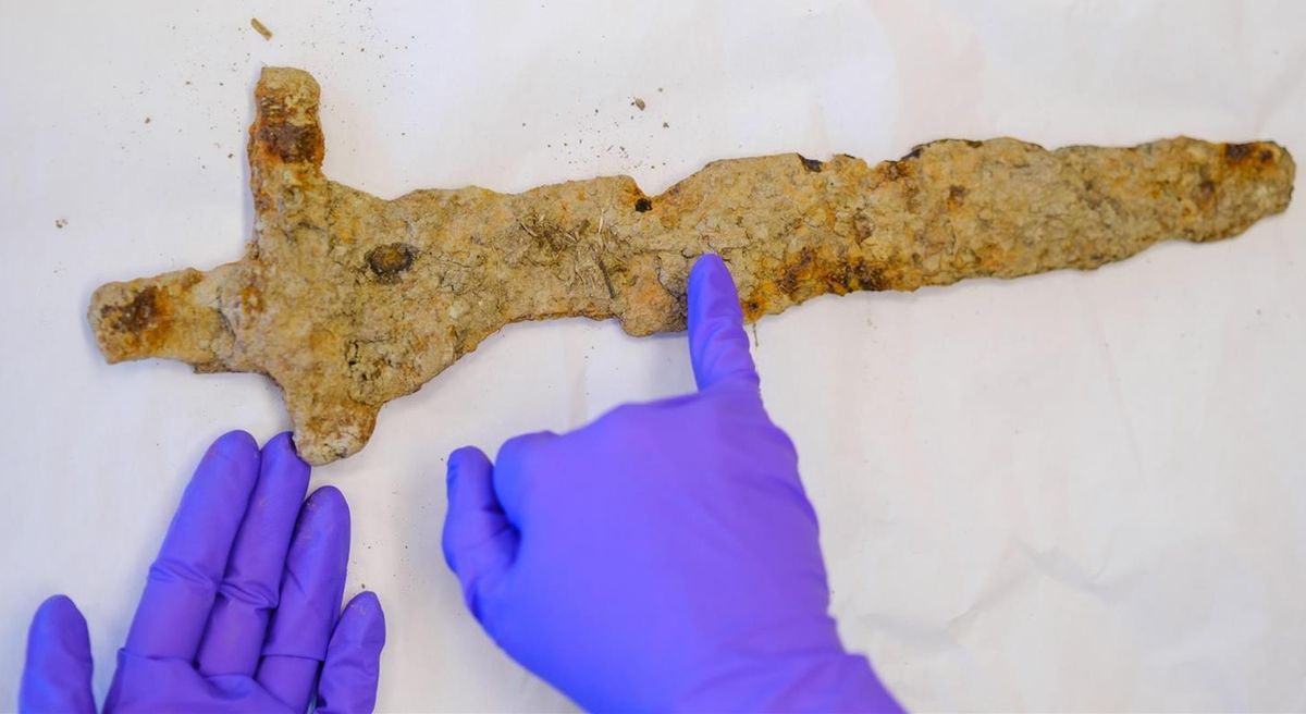 Viking sword with 'very rare' inscription discovered on family farm in ...