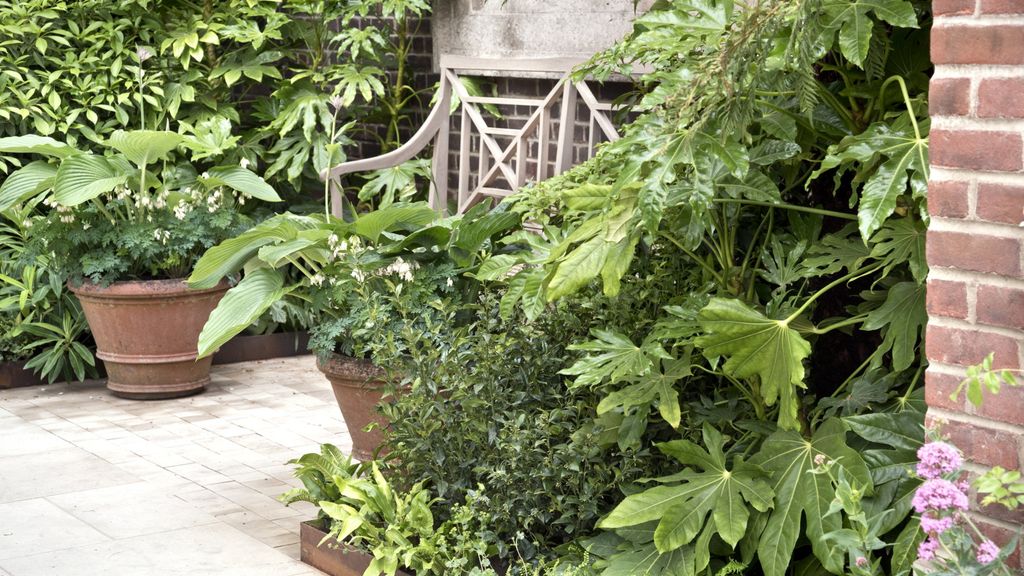 What is kudzu vine: how to identify this invasive plant | Homes and Gardens