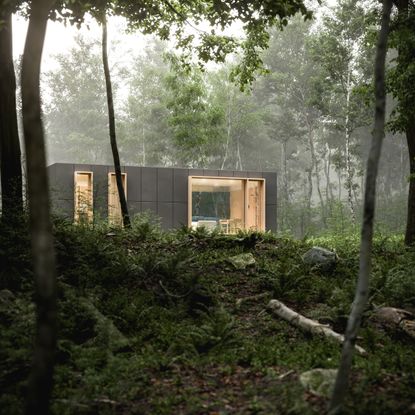 Modern Annexe proposes a new, bold, bespoke garden structure | Wallpaper*