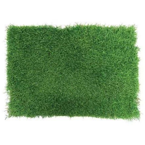 Best litter for rabbits 2025 to make their home cleaner | PetsRadar