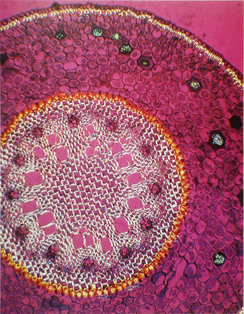 Strange and Beautiful: Gallery of Old Sci-Fi Artwork | Live Science