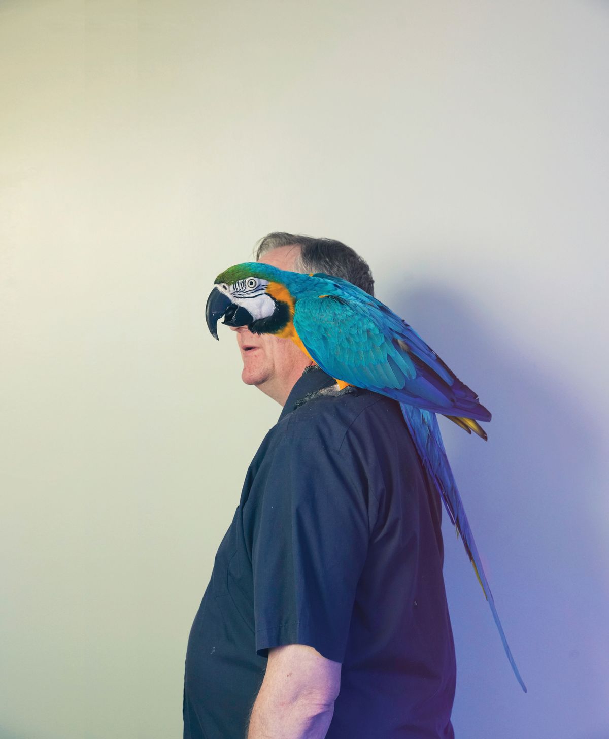 Benedict Cumberbatch and Judie Dench portraits captured by Sony World ...