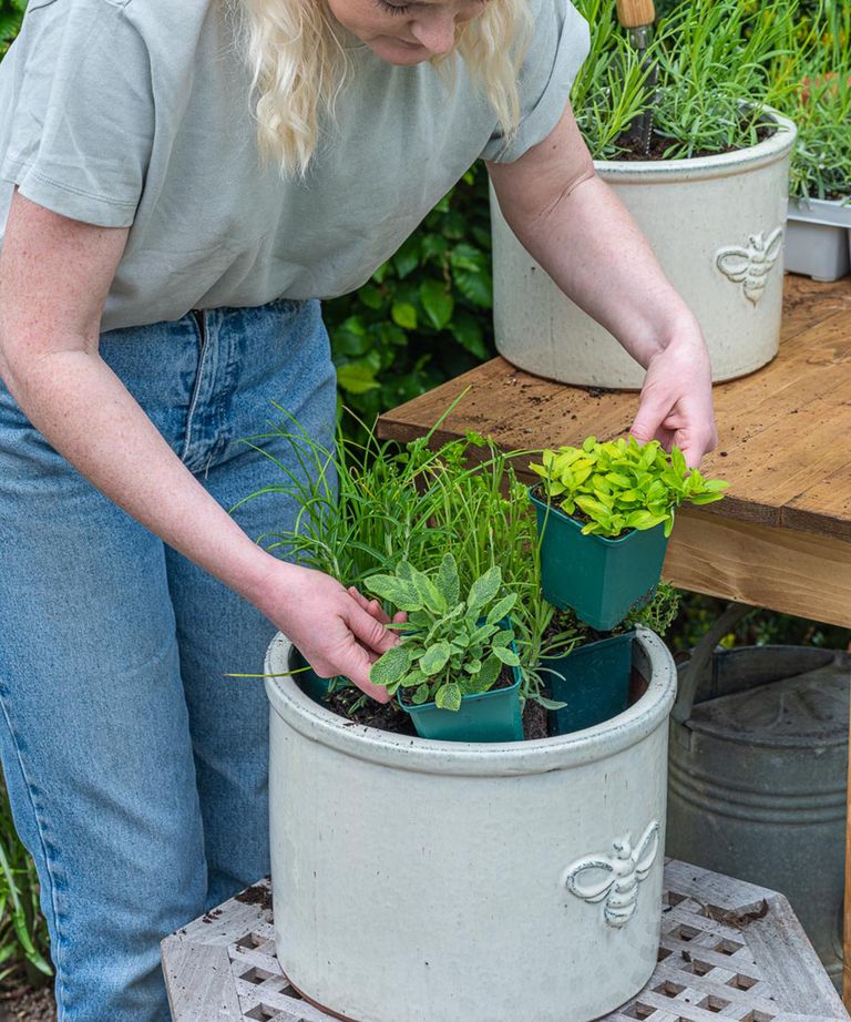 How to plant a herb pot: a step-by-step container display | Gardeningetc