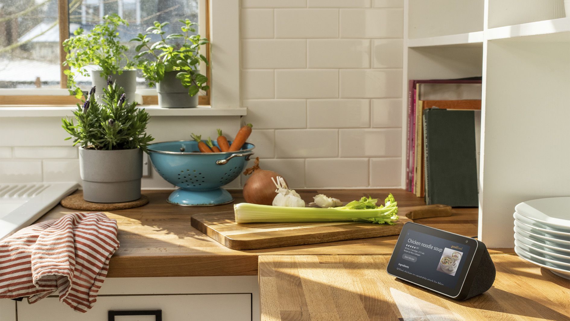 How to stop Alexa from listening - 5 simple tricks | Livingetc