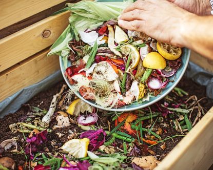 10 Common Composting Problems To Avoid – Plus Easy Fixes | Gardening ...