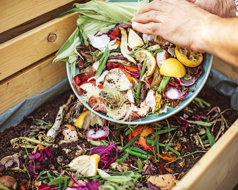 Compost Greens And Browns: How To Get The Best Materials Mix ...