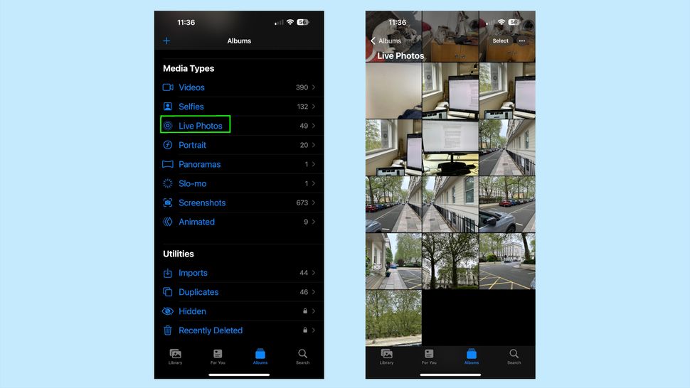 iPhone Live Photos are easy to combine into a single video— here’s how ...