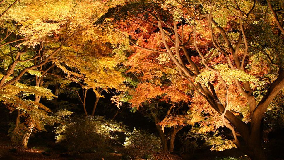Your Instagram pictures can help scientists track climate change ...