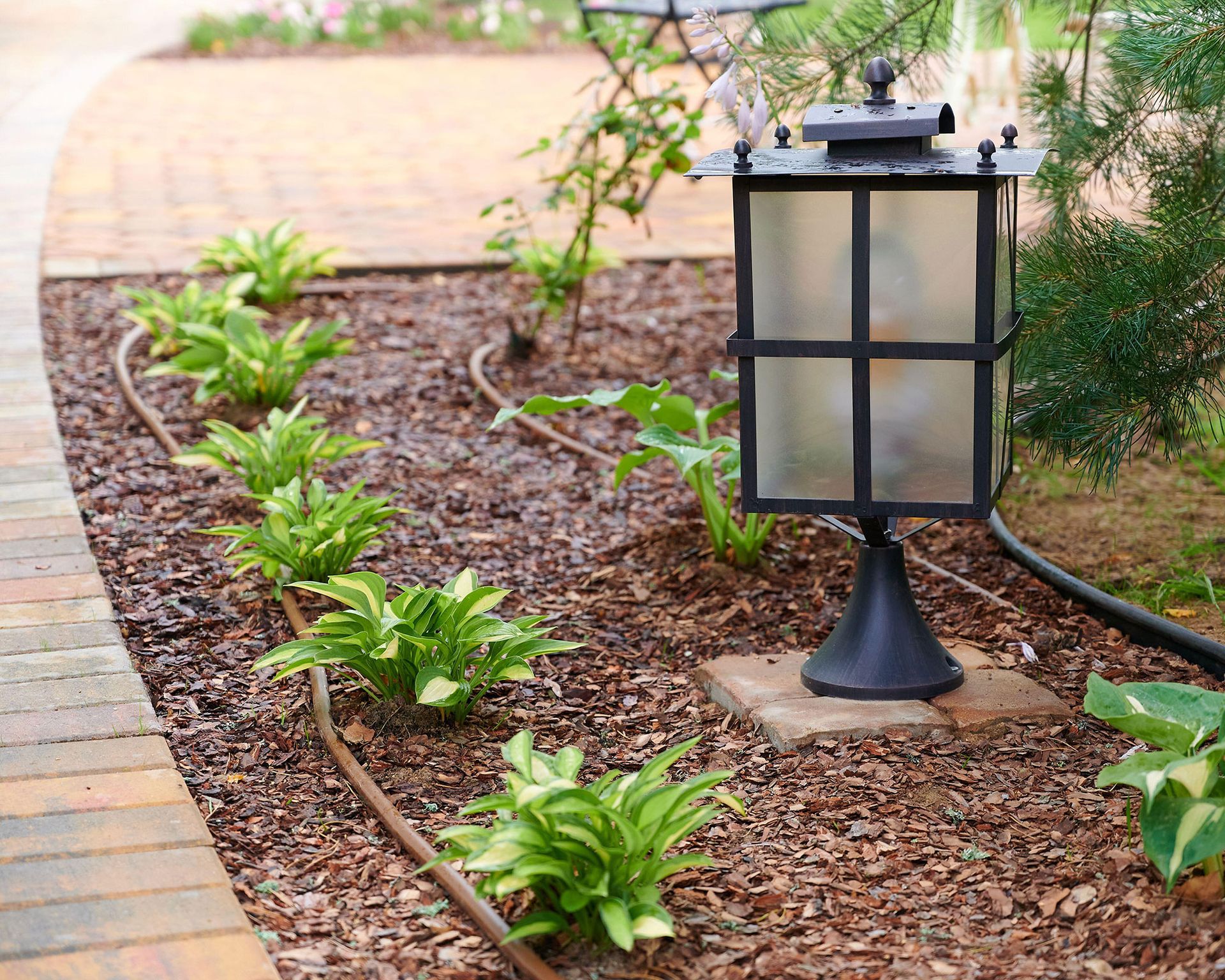 Landscaping with wood chips: 13 expert ways to use them | Gardeningetc