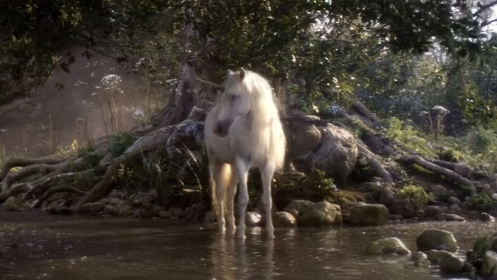 Death Of A Unicorn: What We Know So Far About Jenna Ortega And Paul ...