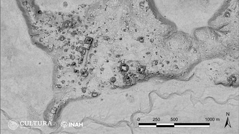 Lost Maya city discovered deep in the jungles of Mexico | Live Science