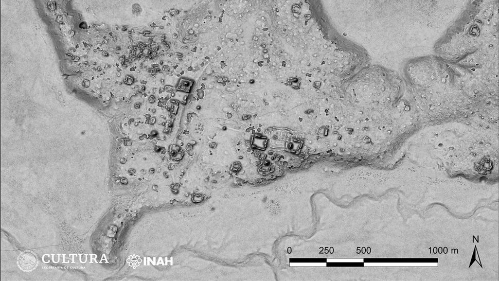 Lost Maya city discovered deep in the jungles of Mexico | Live Science