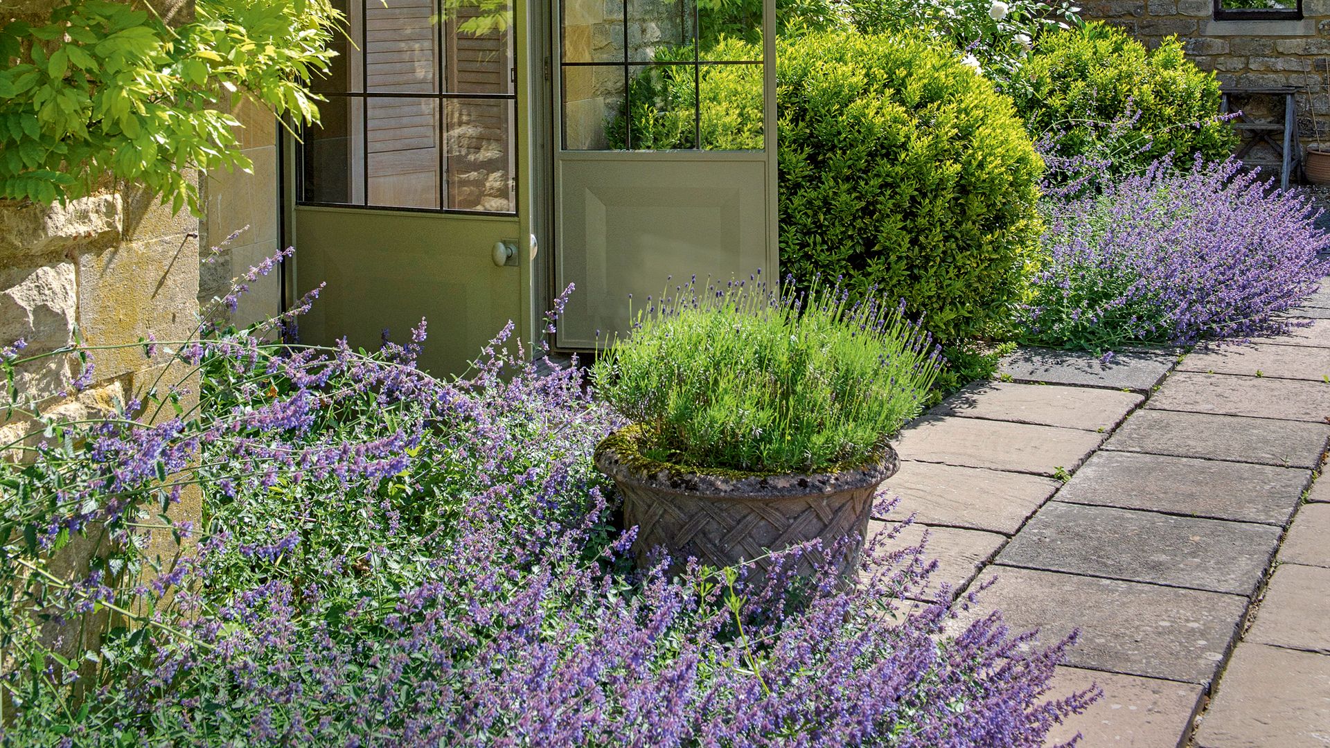 The most calming plants to grow in your garden | Ideal Home