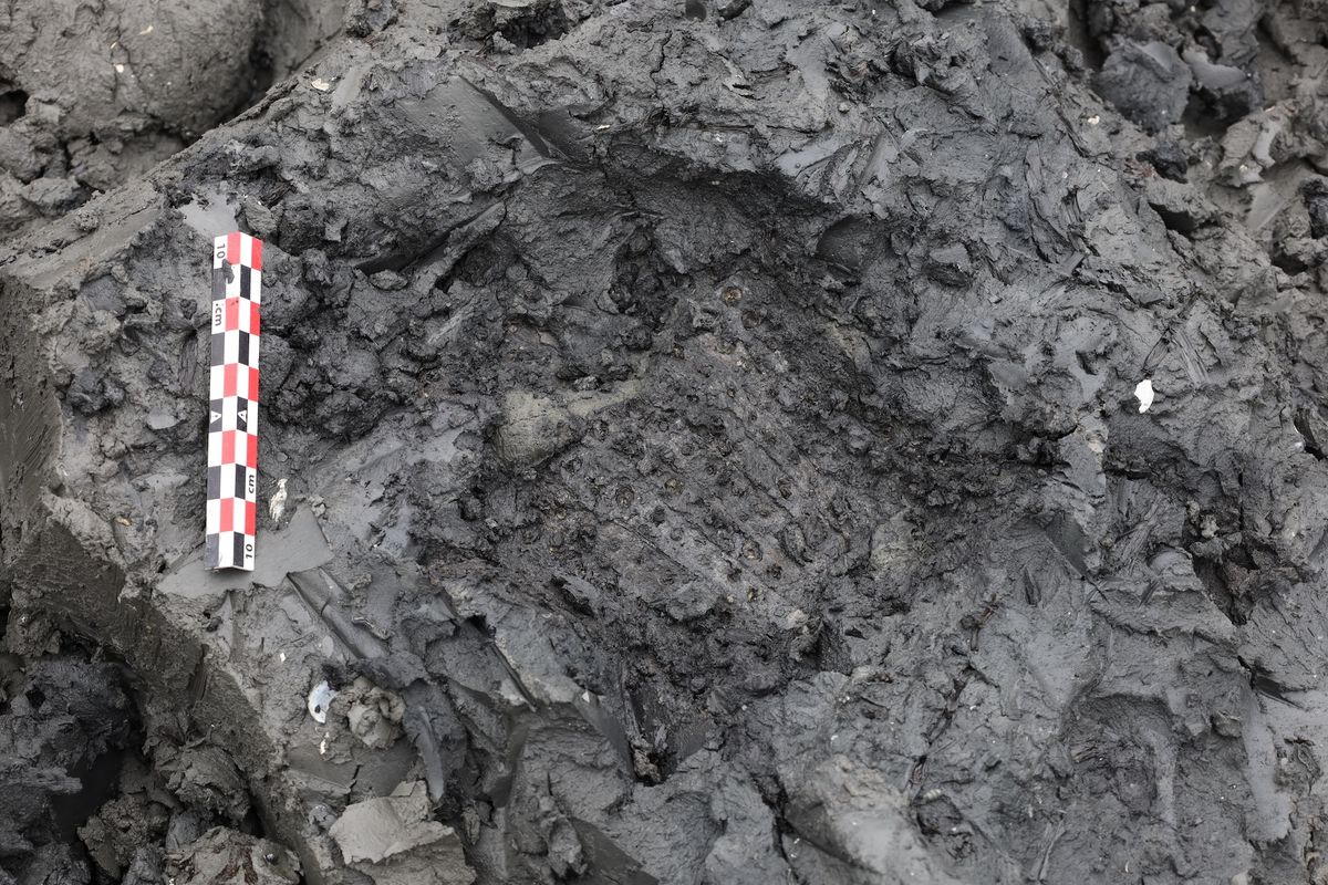 Remains of 14th-century gauntlet discovered in Oslo's medieval harbor ...