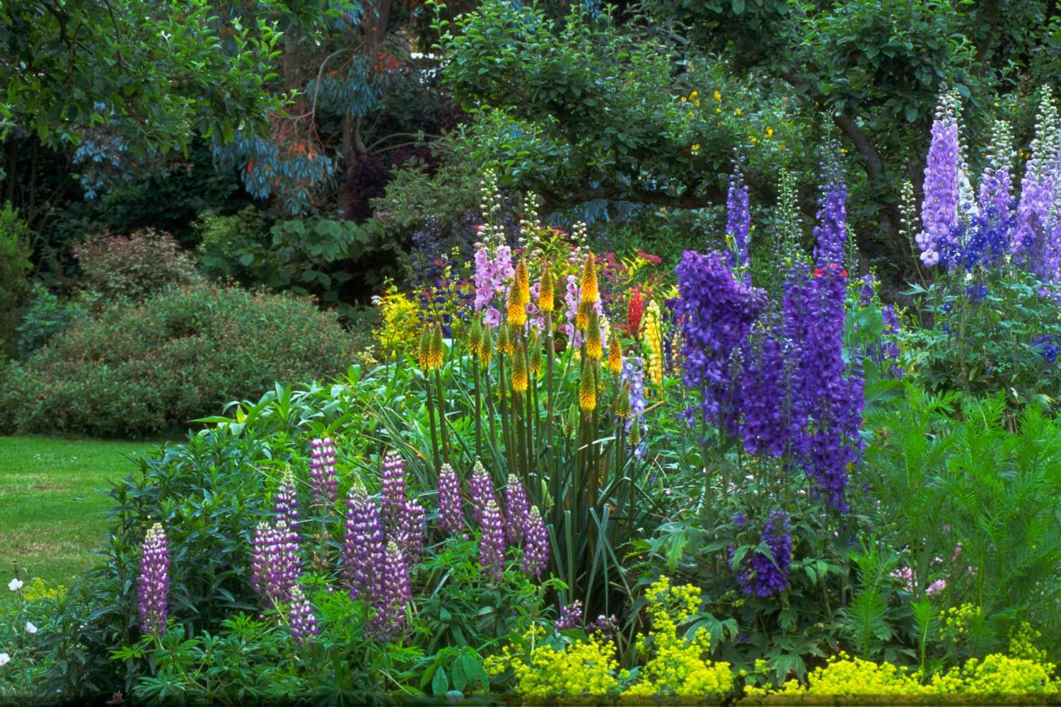 garden border ideas | Livingetc