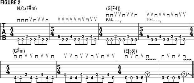 Metal for Life: Incorporating Different Picking Techniques for Specific ...