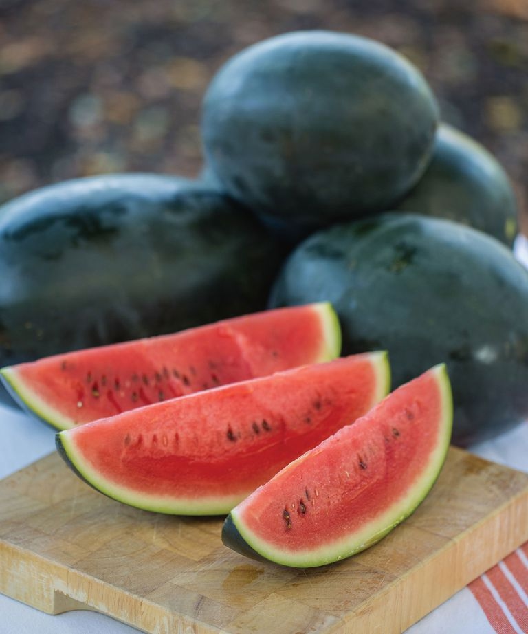 How to grow watermelon: expert tips on growing this refreshing fruit ...