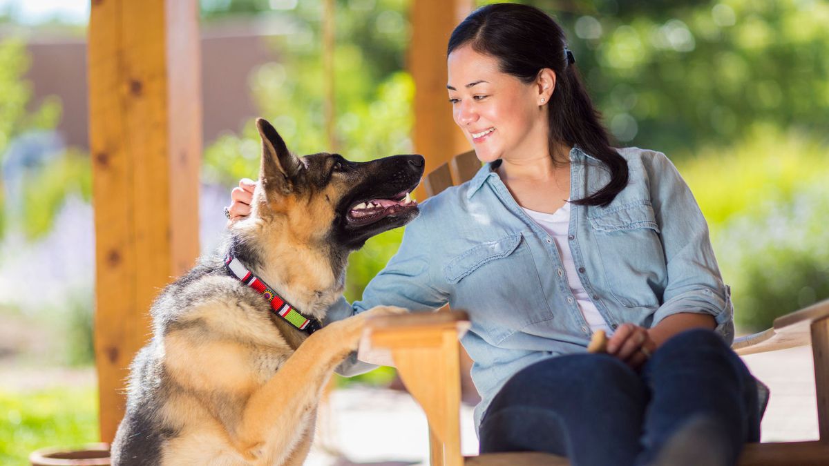 20 most loyal dog breeds revealed | PetsRadar