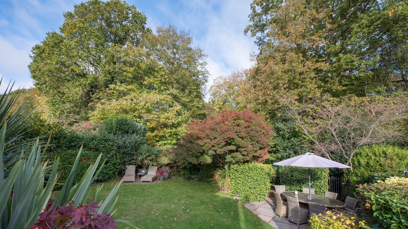 Can I grow a tree from a branch? Expert advice on raising a tree from a ...