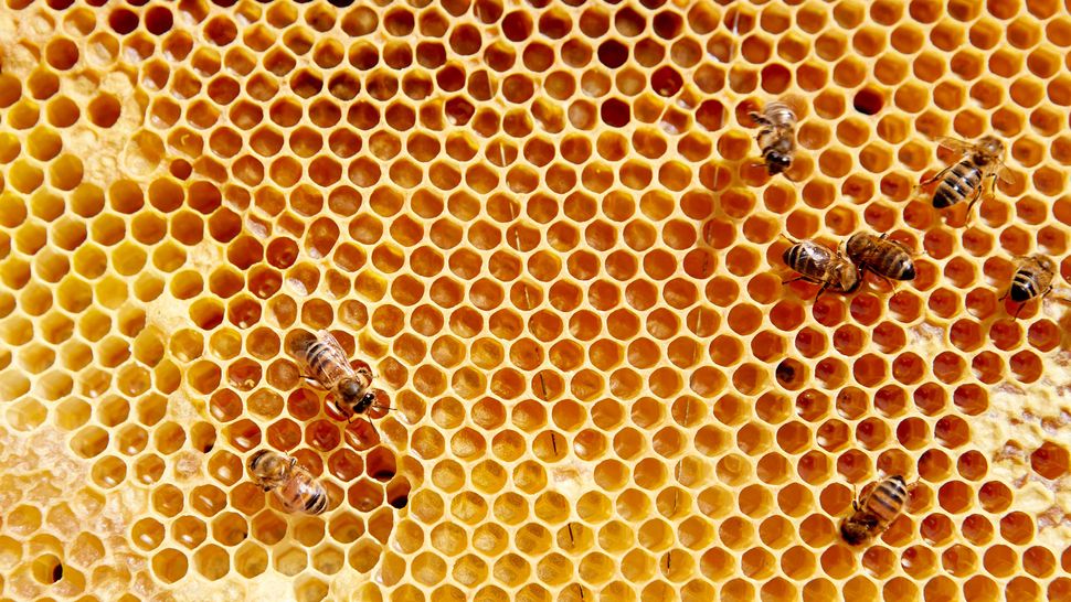 10 unusual phobias that actually exist | Live Science