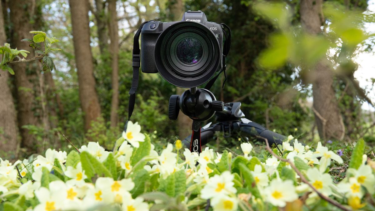 Miniature lighting: how to stop big lights from swamping tiny subjects ...