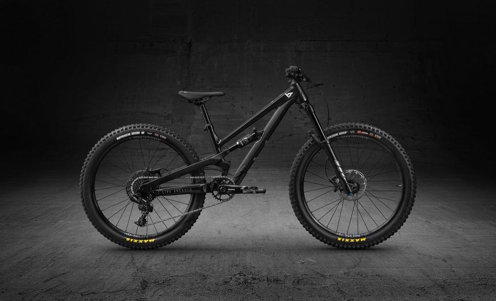 Best 24-inch mountain bikes: Top bikes for young shredders looking to ...