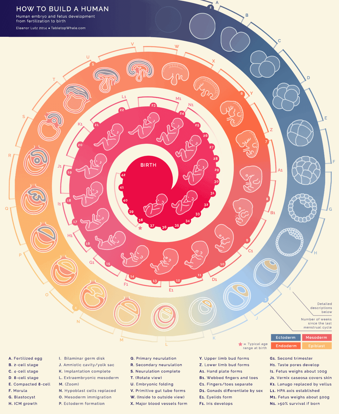30 inspiring infographics | Creative Bloq