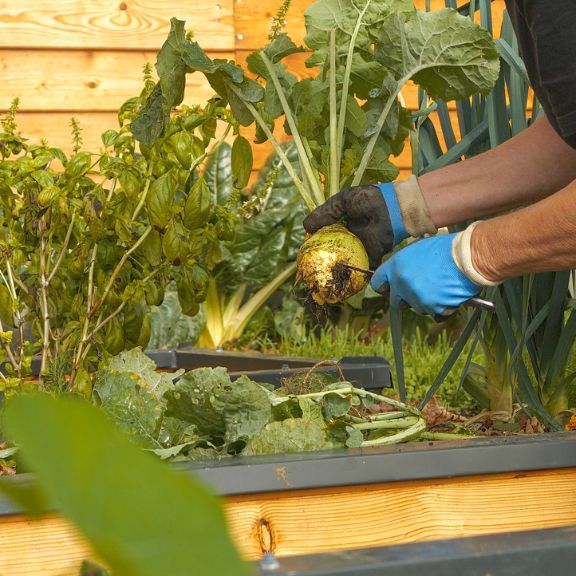 Gardening For Small Spaces - French Intensive Garden Design | Gardening ...